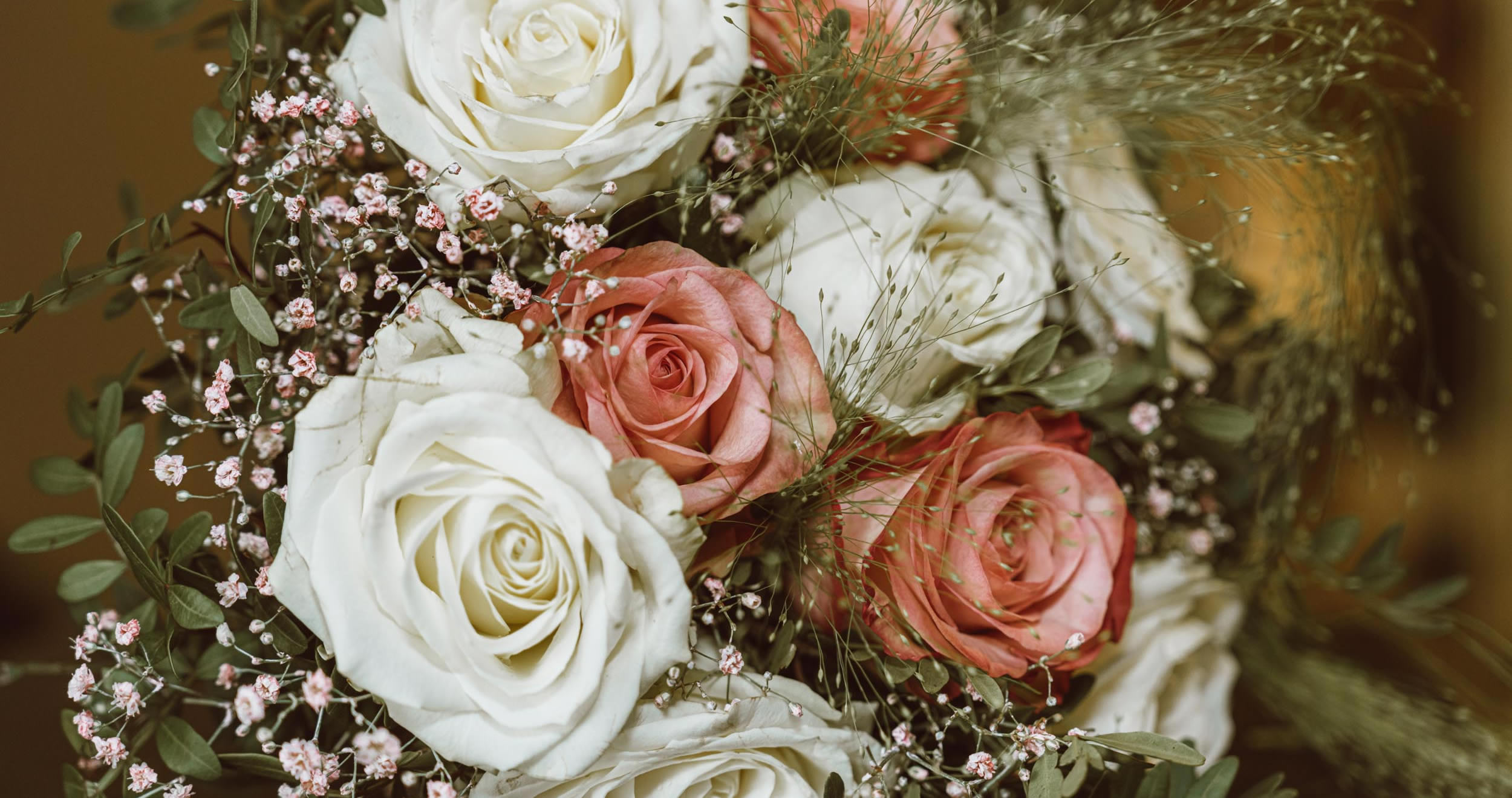 D VisualZ – Professionele Fotografie in Brugge